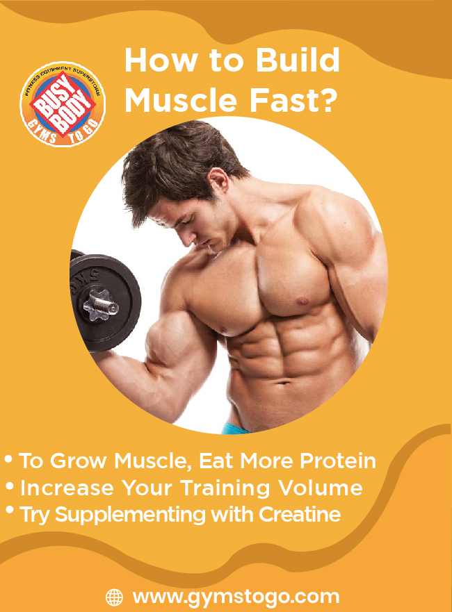 How To Build Muscle Fast South Florida Fitness Equipment Provider How To Build Muscle Fast South Florida Fitness Equipment Provider