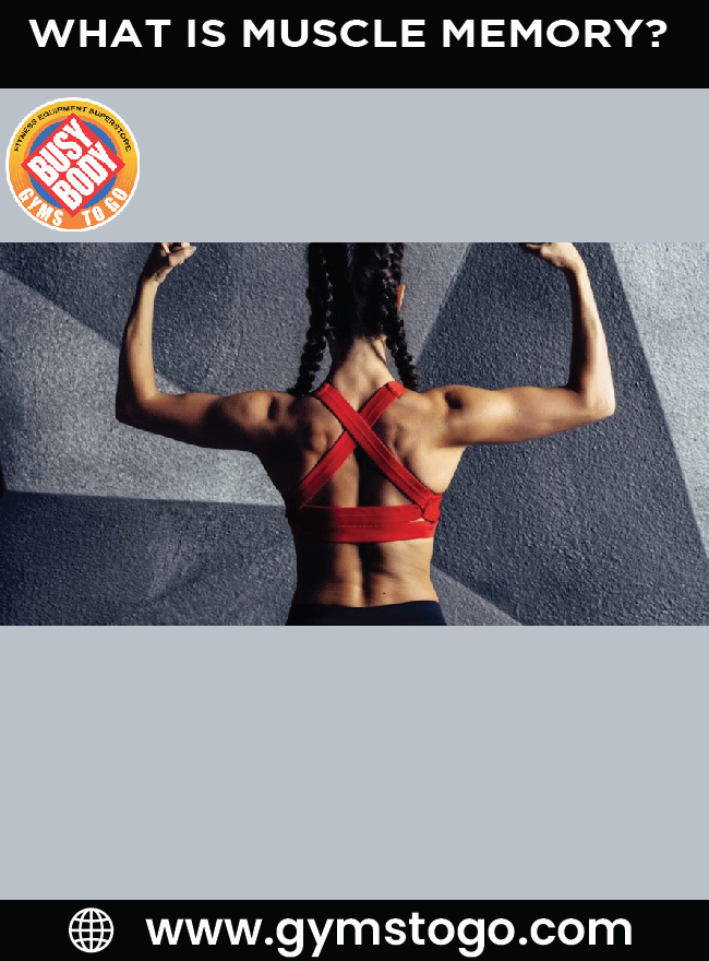 What is Muscle Memory? How does it Work? - Busy Body Gyms To Go